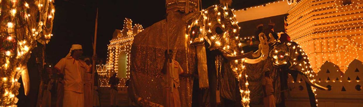 Top 10 Must-Visit Tourist Destinations in Sri Lanka